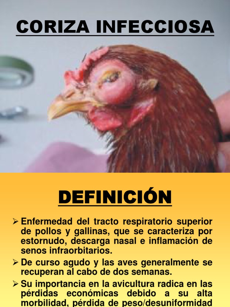 10 Coriza | PDF | Epidemiología | Enfermedades y trastornos