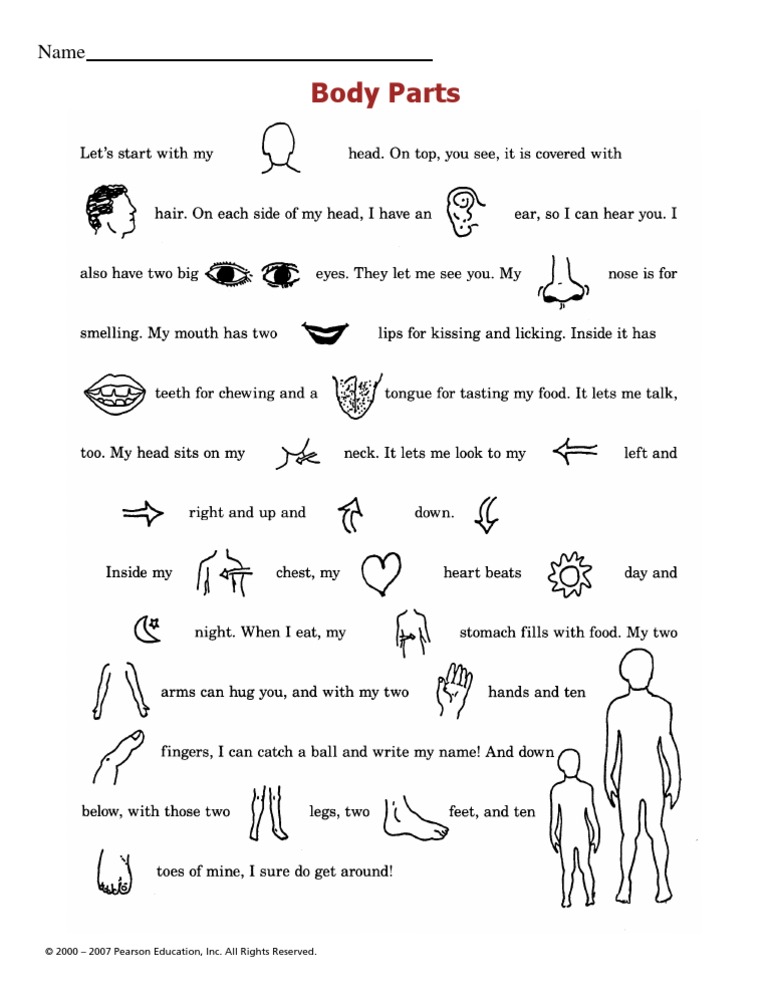 Body Parts: © 2000 - 2007 Pearson Education, Inc. All Rights Reserved | PDF