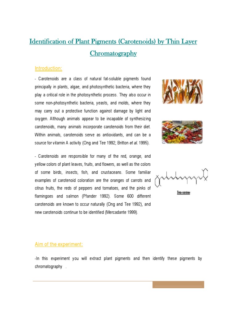 Plant Pigment Analysis via TLC | PDF | Thin Layer Chromatography ...