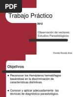 Triatominos: Vectores de Chagas | PDF | Biología