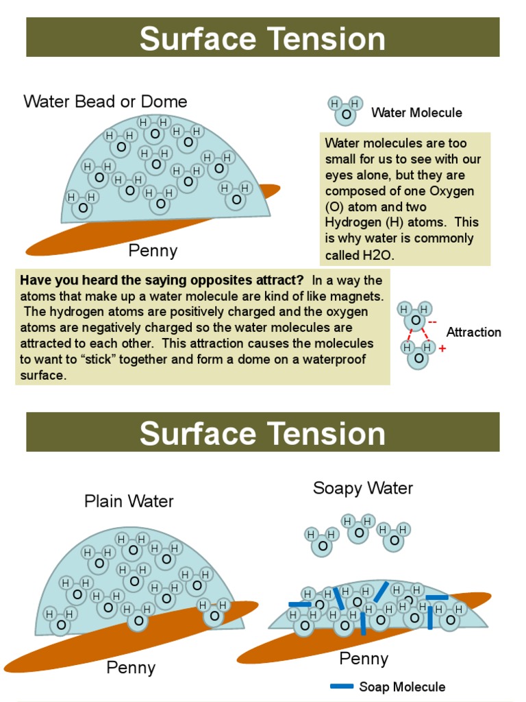 Water LE 1 Surface Tension | PDF | Hydrogen | Properties Of Water