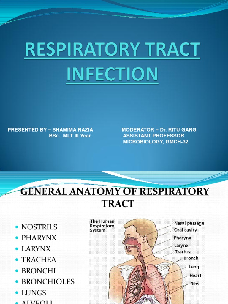 An Overview of Respiratory Tract Infections: Etiology, Clinical ...