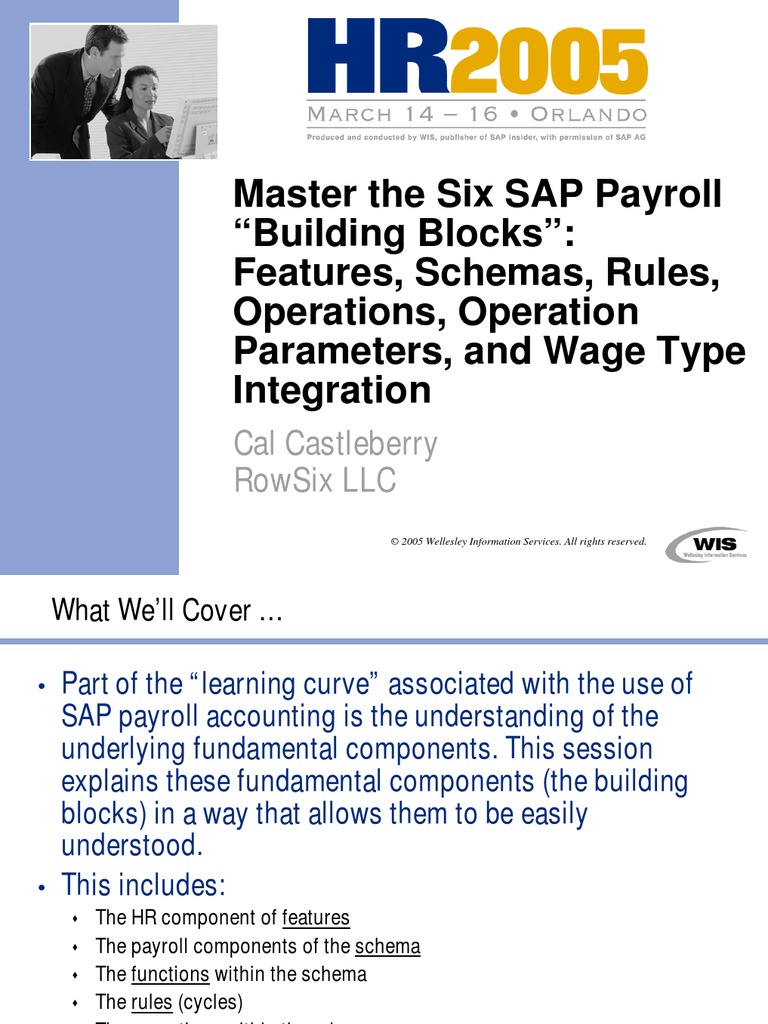 Mastering The Six SAP Payroll Building Blocks | PDF | Conceptual Model | Parameter (Computer ...