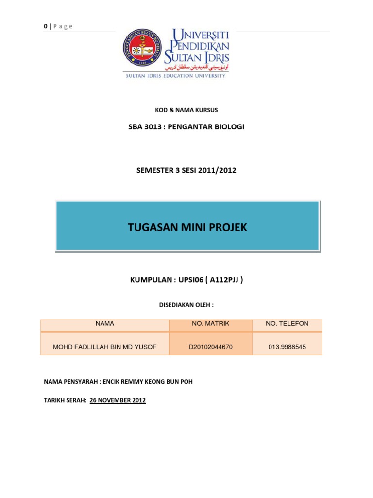 Tugasan Mini Project | PDF