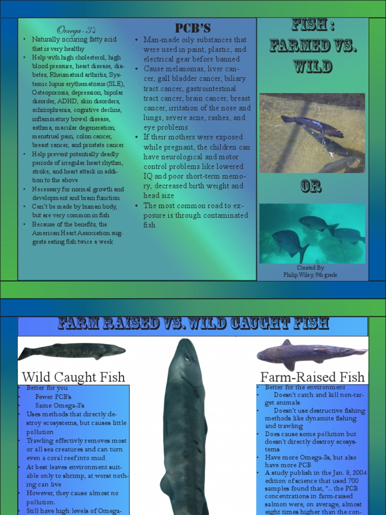 Fish Brochure 2 | PDF | Omega 3 Fatty Acid | Polychlorinated Biphenyl