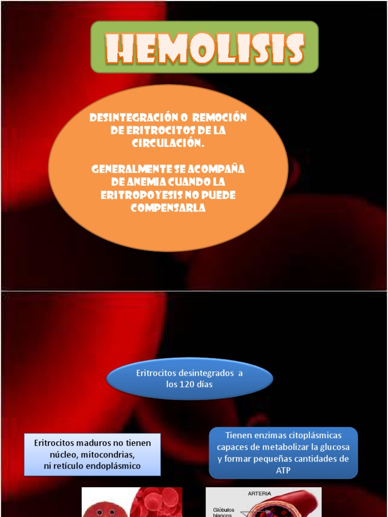 Hemolisis | PDF | Glóbulo rojo | Anatomía