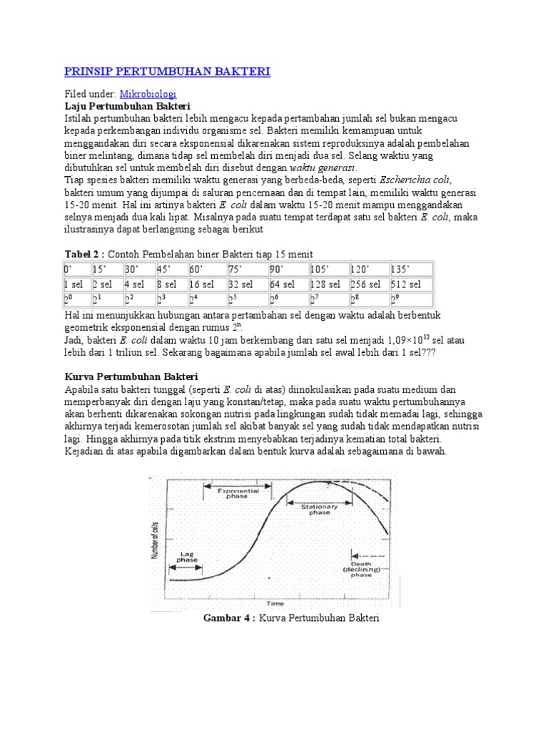Prinsip Pertumbuhan Bakteri | PDF | Sains & Matematika