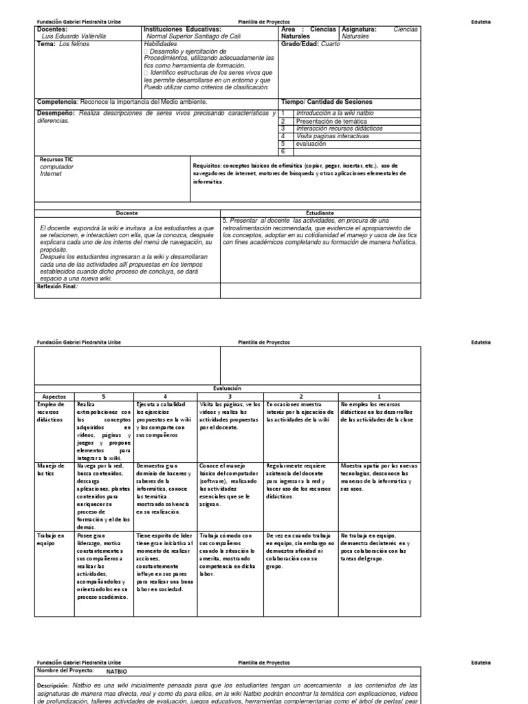 Planeacion Tics | PDF | Wiki | Tecnología de información y comunicaciones