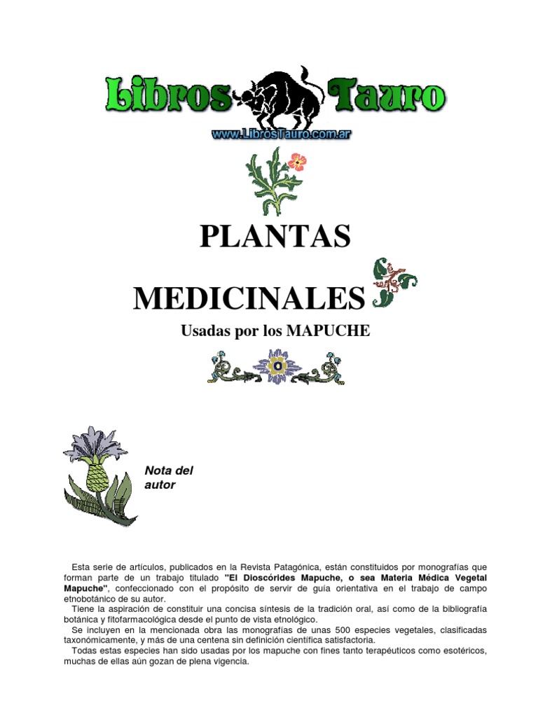 Plantas Medicinales Mapuche: Foye | PDF | Hoja | Plantas