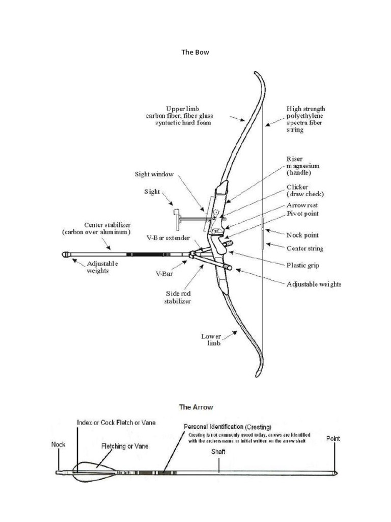 Understanding the Bow: Types and Uses | PDF