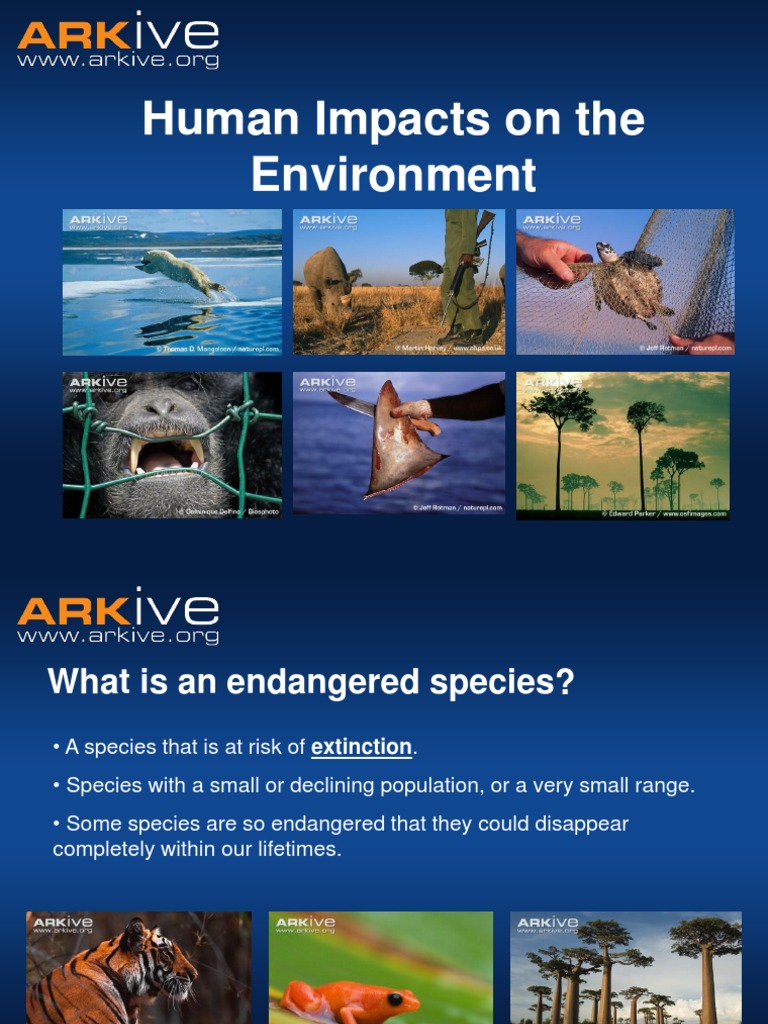 11-14yrs - Human Impacts On The Environment - Classroom Presentation ...