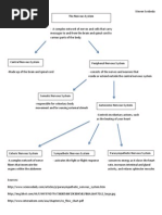 Nervous System Worksheet | PDF | Neuron | Axon