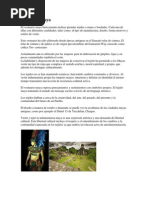 22 Collage Ciudades Mayas | PDF