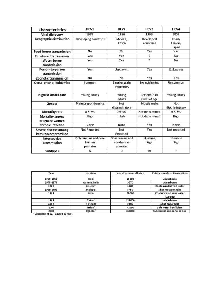 HEV1 Characteristics and Transmission Patterns | PDF