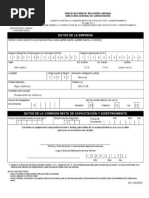 DC1 STPS Formato Word Editable | PDF