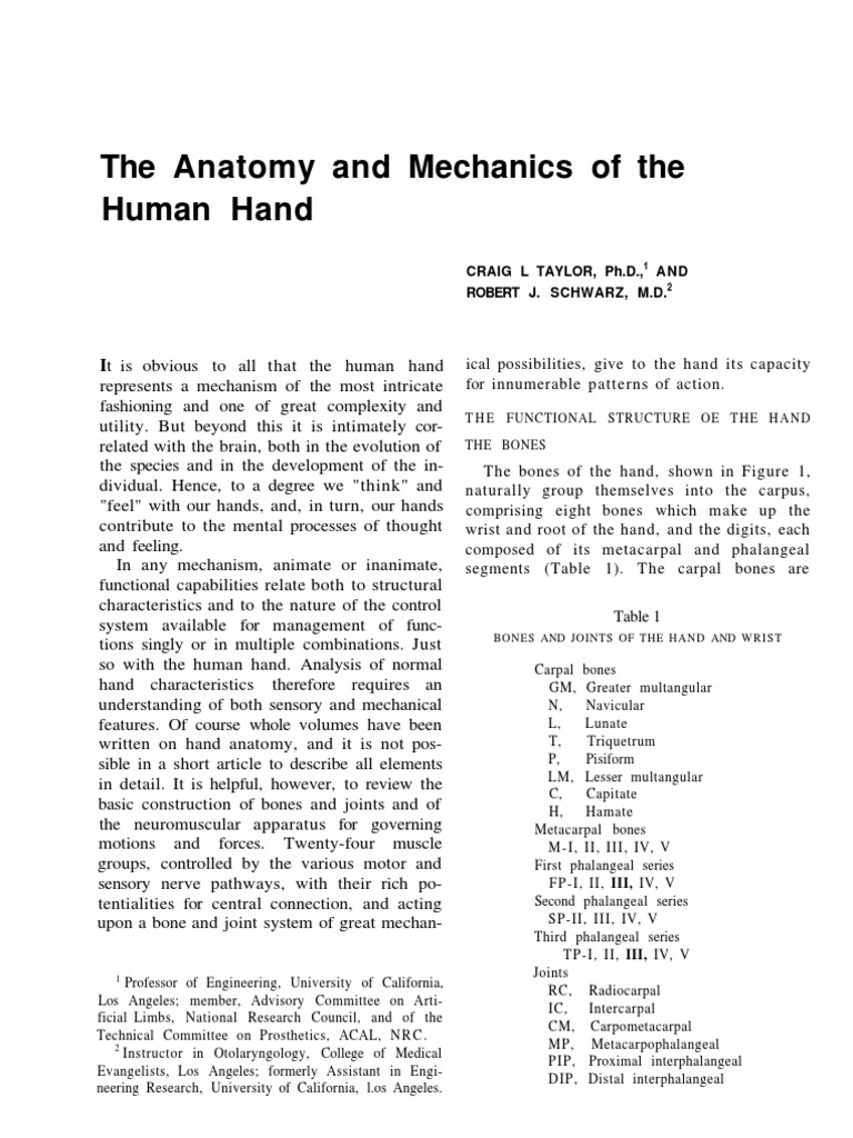 Anatomy and Mechanics of The Human Hand | PDF | Thumb | Hand