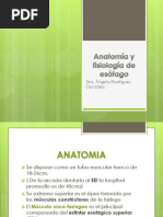 Maniobra de Sellick y Presión Esofágica | PDF | Esófago | Pulmón
