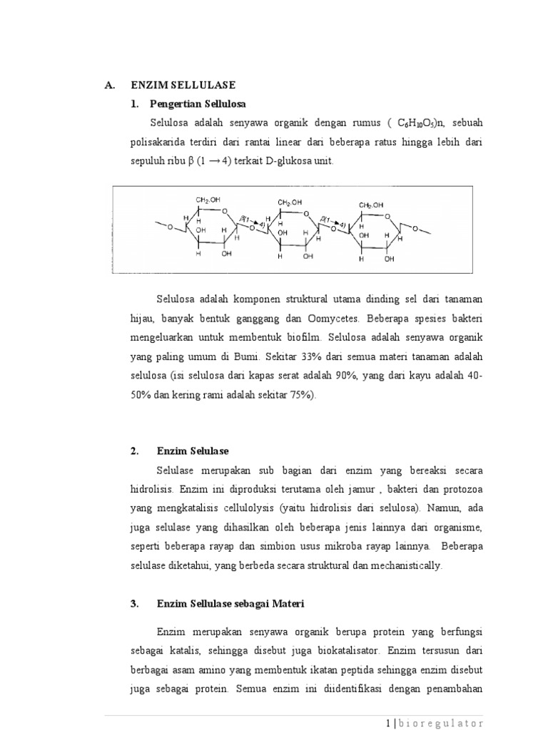 Enzim Selulase | PDF