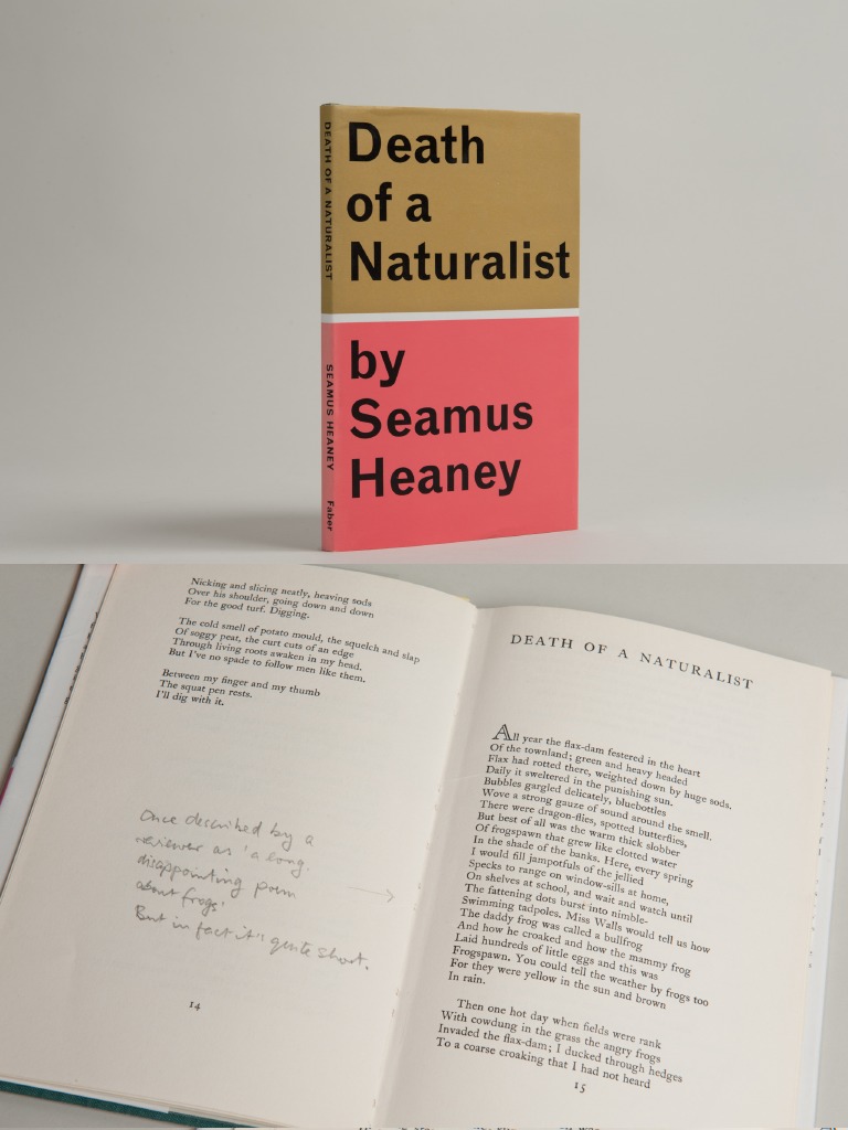 Seamus Heaney - Death of A Naturalist | PDF