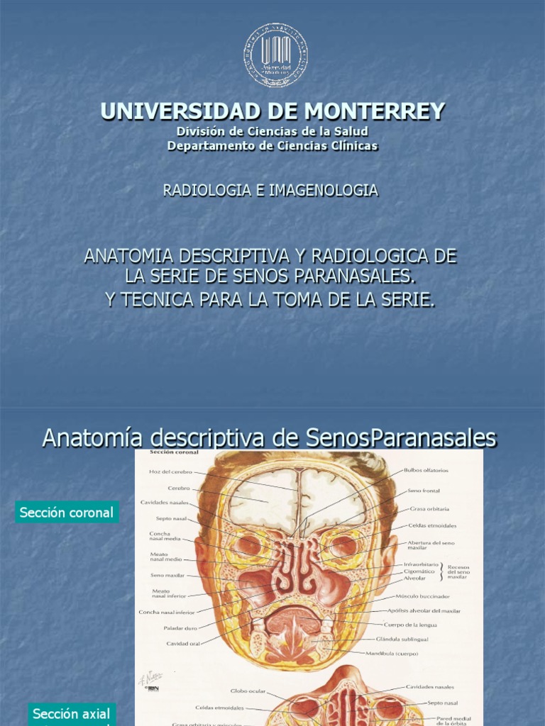 5.2 Anatomía descriptiva y radiológica de la serie de SPN y técnica ...