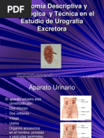 Protocolo UROTAC | PDF