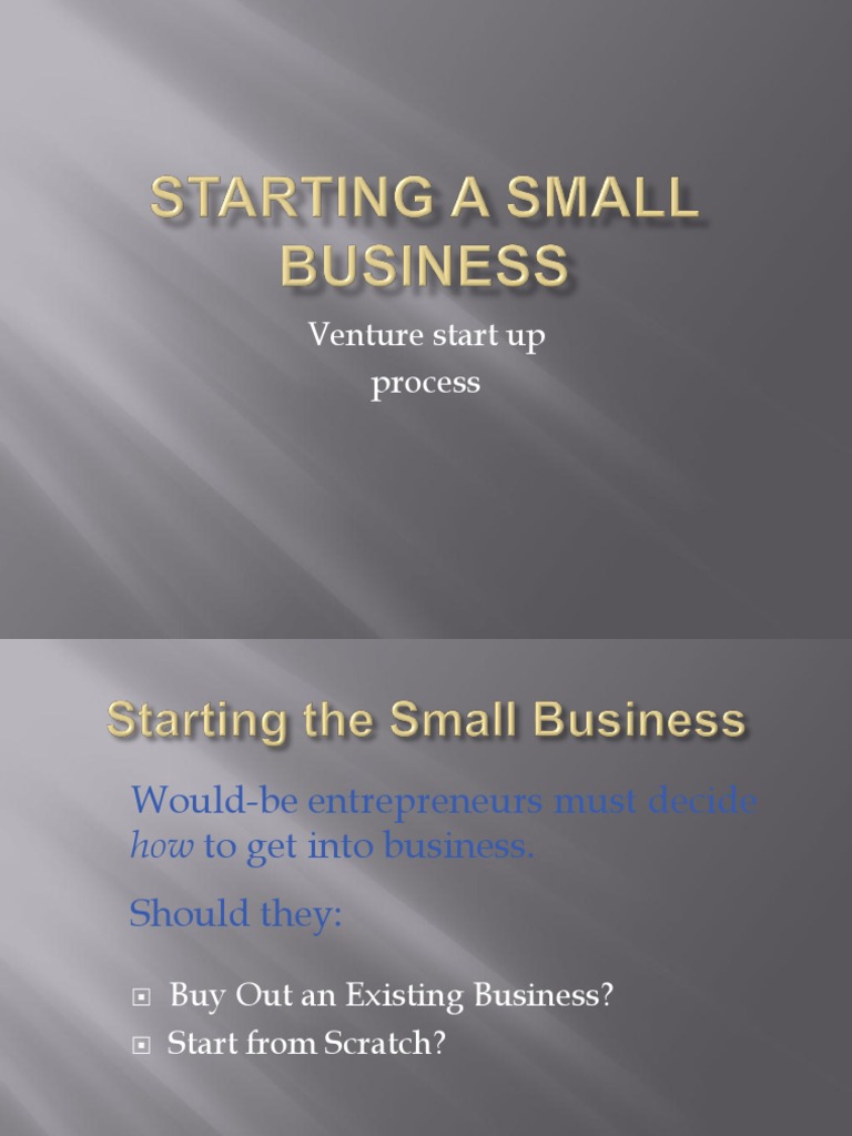 Business Startup Strategies Explained | PDF | Entrepreneurship | Business