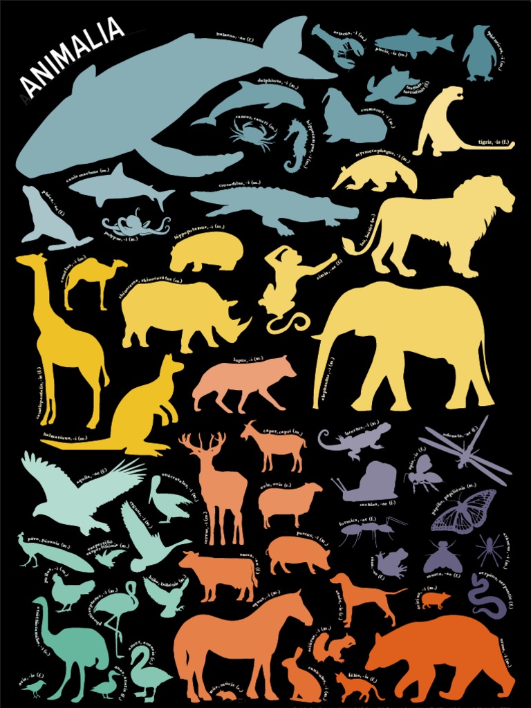 Animalia Poster | PDF