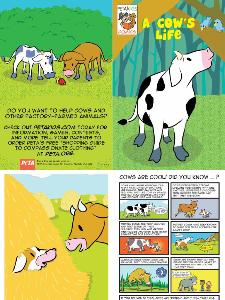 Cute Cow Comic (PETA) | PDF | People For The Ethical Treatment Of Animals