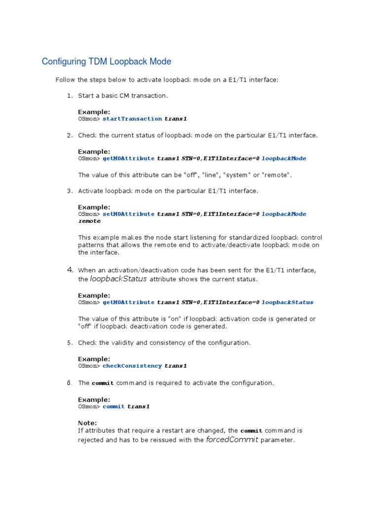 Configuring E1/T1 Loopback Mode | PDF