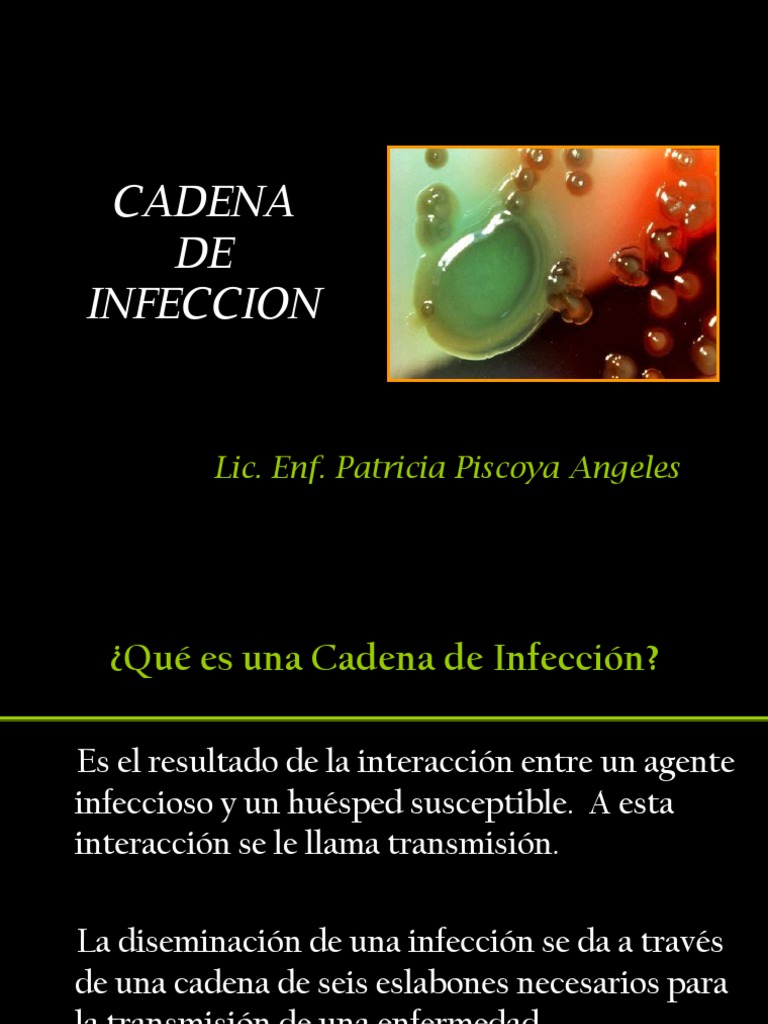 Cadena de Infeccion | PDF | Infección | Virus