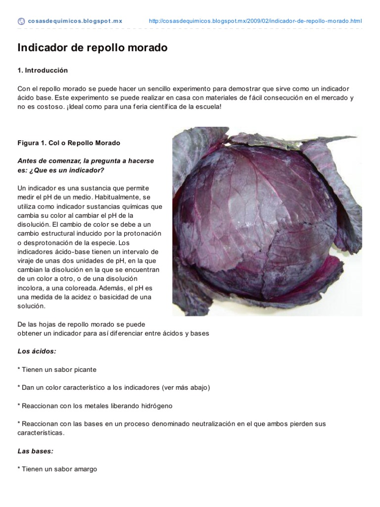 Indicador de pH con repollo morado | PDF | Ph | Ácido