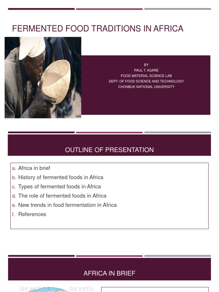 African Fermented Foods Guide | PDF | Fermentation In Food Processing ...