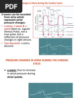 Echocardiographic Normal Values | PDF | Ventricle (Heart) | Heart Valve
