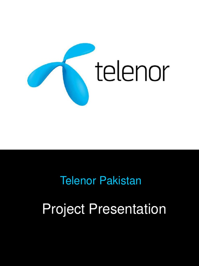 On Telenor Management Functions | PDF | Leadership | Employment