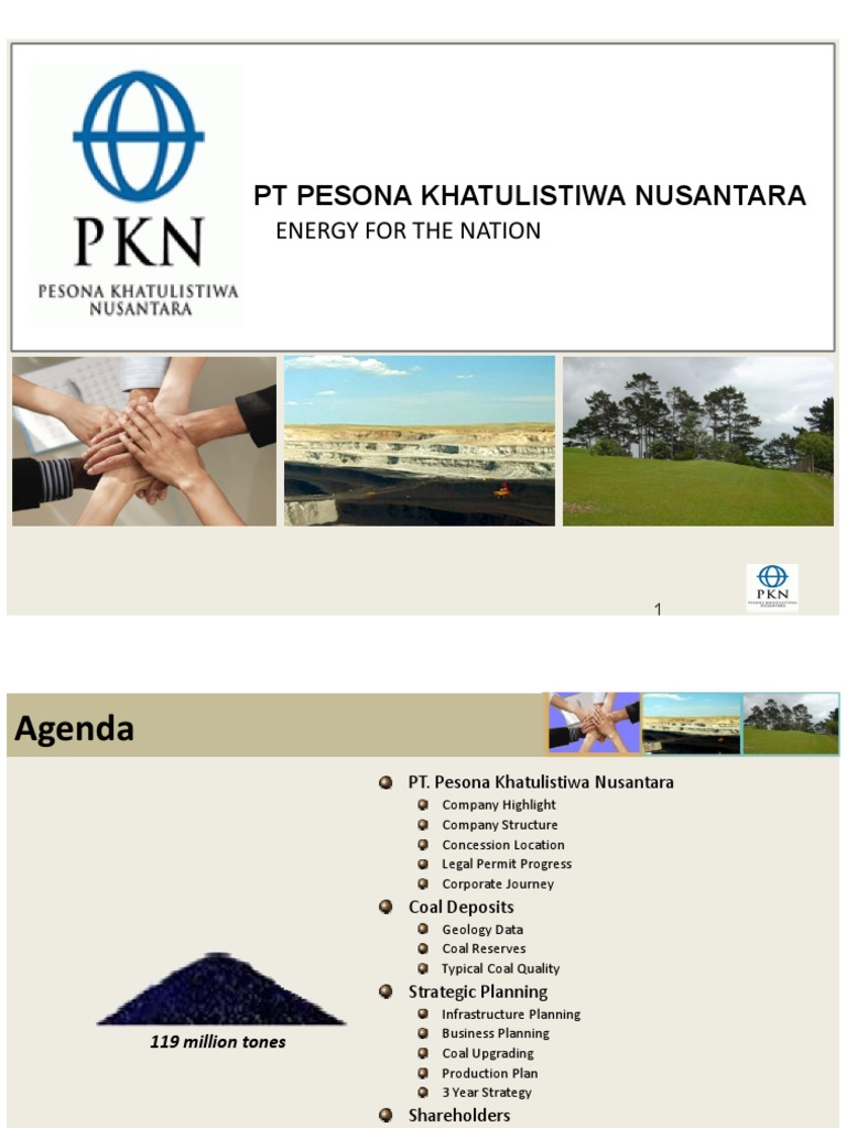 PKN Company Profile | PDF | Coal | Lignite