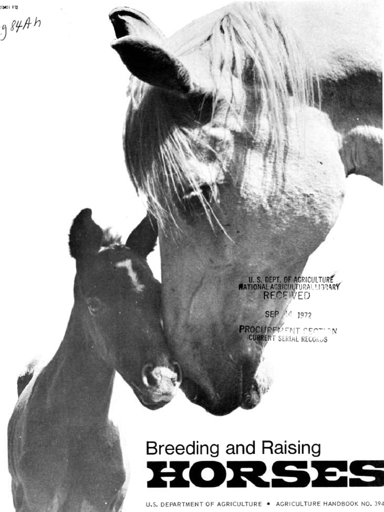 Breeding and Raising Horses | PDF | Horse Gait | Horses