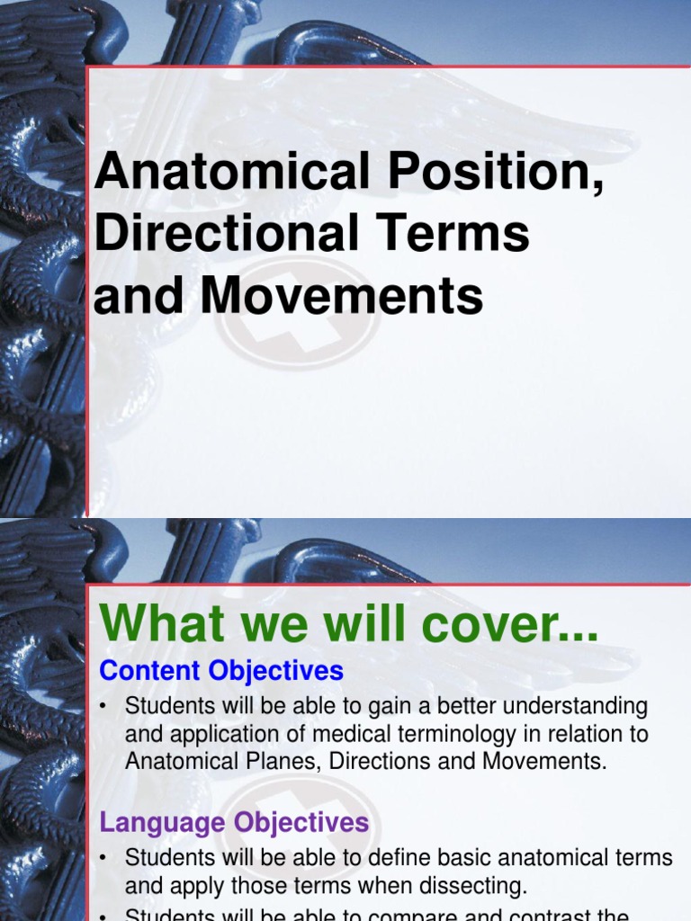 Anatomical Position, Directional Terms and Movements | PDF | Anatomical ...