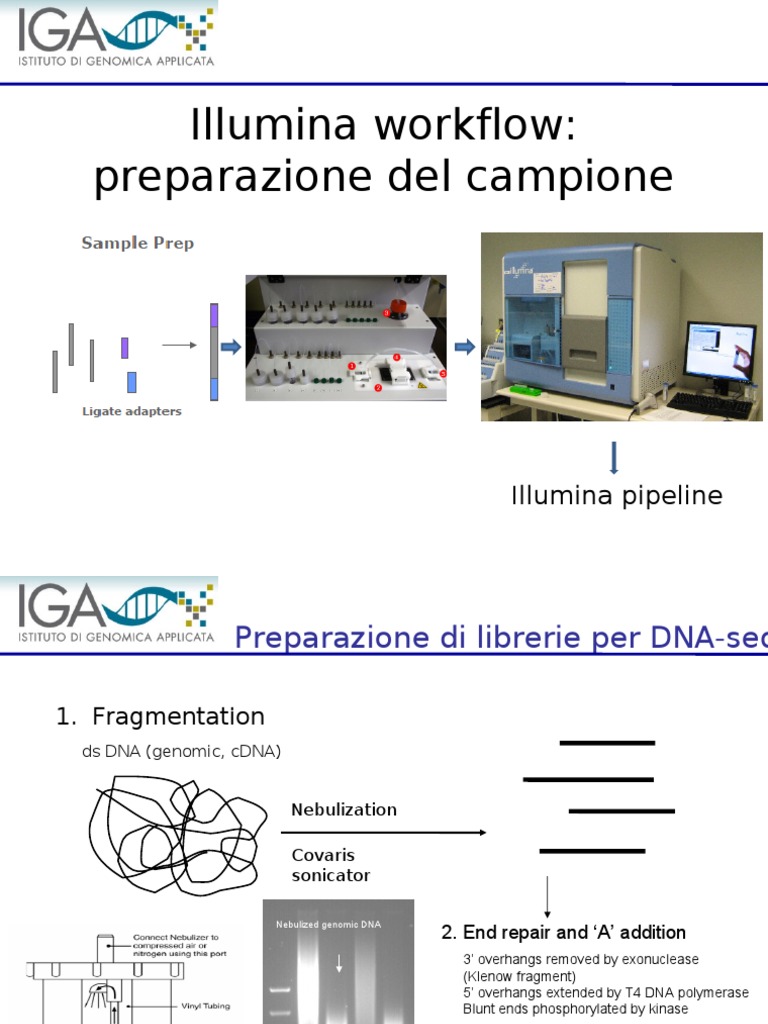 Illumina DNA and RNA Sequencing Workflow | PDF | Science & Mathematics