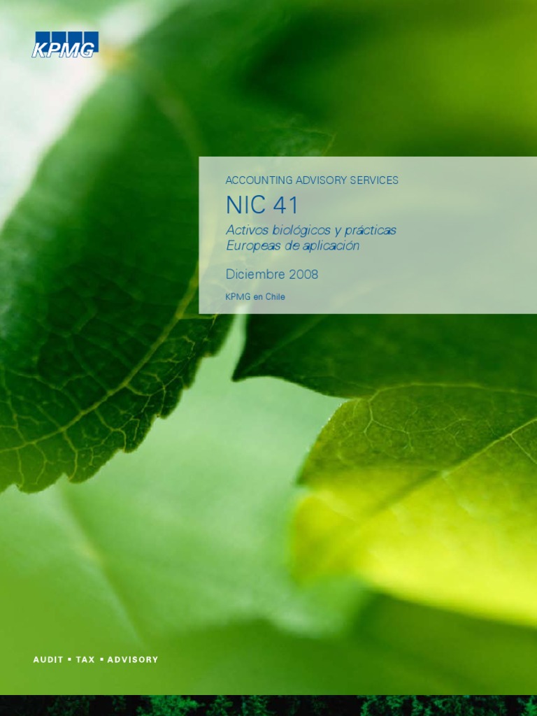 NIC 41 Explicacion | PDF