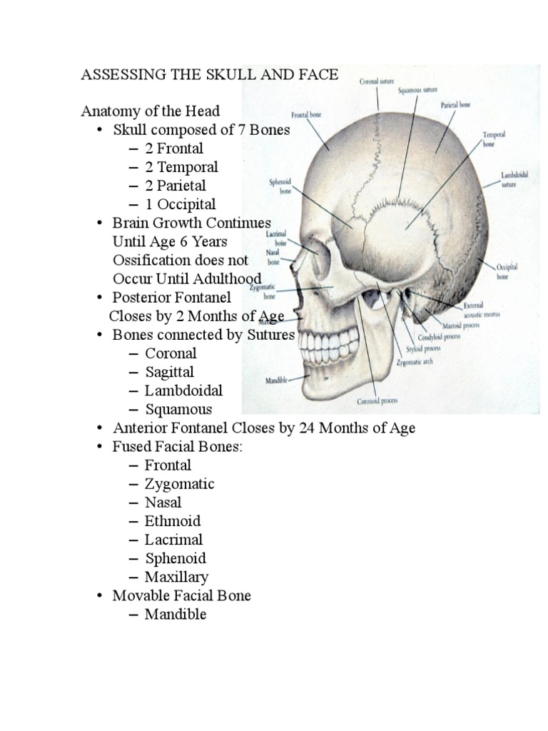 Skull and Face Assessment Guide | PDF