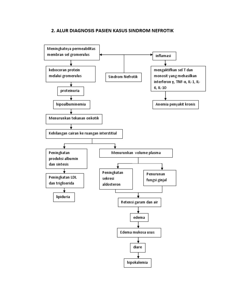 Alur Diagnosis Pasien Kasus Sindrom Nefrotik | PDF