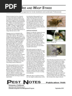 The Schmidt Insect Sting Pain Index | PDF | Zoology | Insects And Humans
