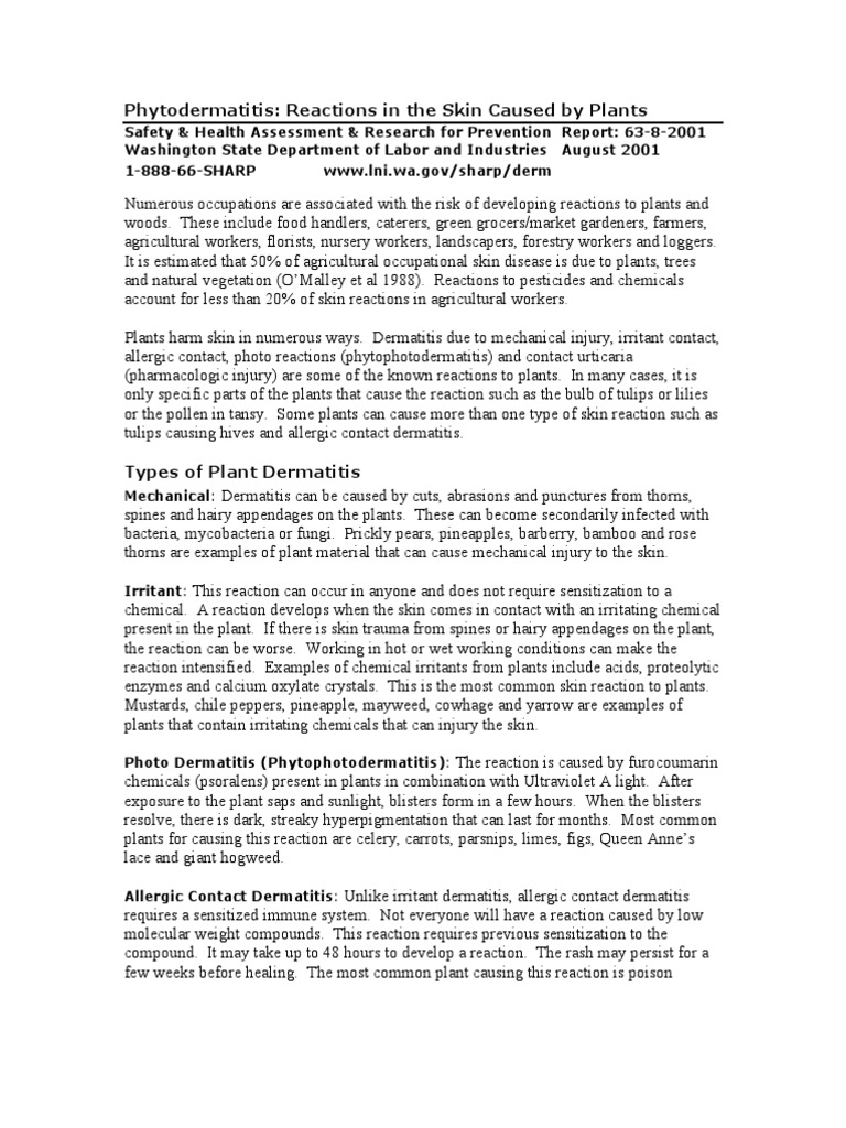 Phyto Dermatitis | PDF | Allergy | Plants