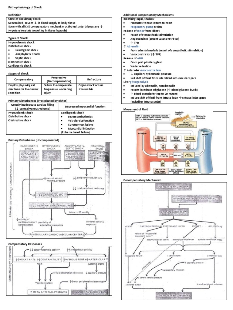 Understanding Shock Pathophysiology | PDF