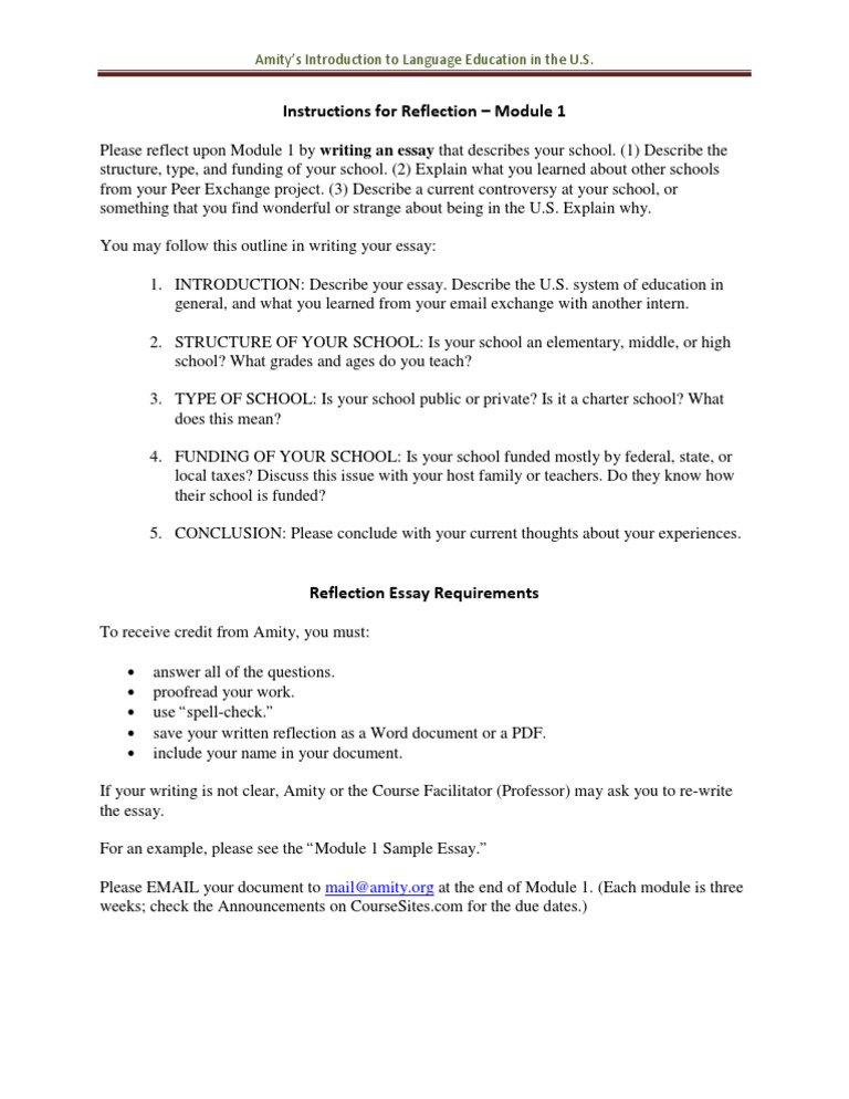 Instructions For Reflection Module 1 | PDF | Essays | Behavior Modification