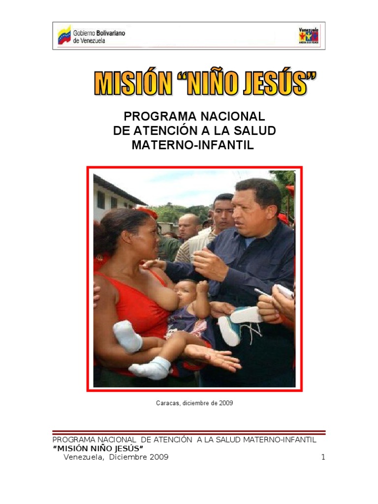 Programa de Atencióna La Salud Materno Infantil | PDF