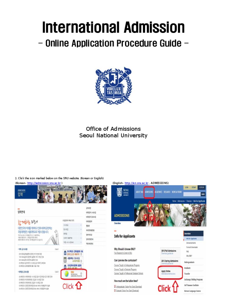 Online Application Guide | PDF