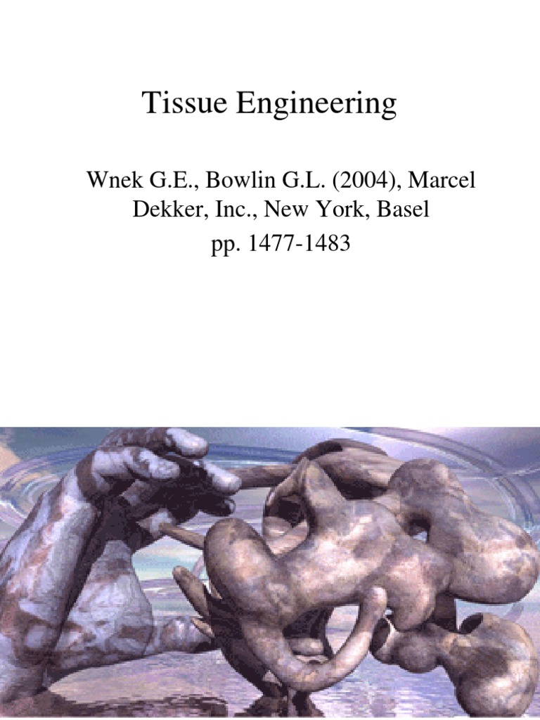 Tissue Engineering | Download Free PDF | Tissue Engineering | Medical ...