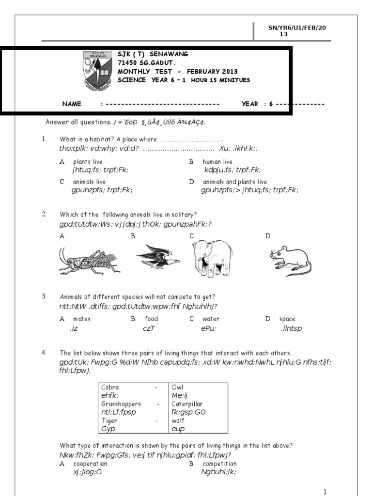 Year 6 Science Monthly Test - Feb 2013 | PDF | Ecology | Natural ...