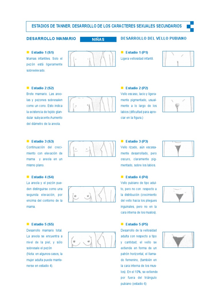 Escala de Tanner | Pecho | Testículo